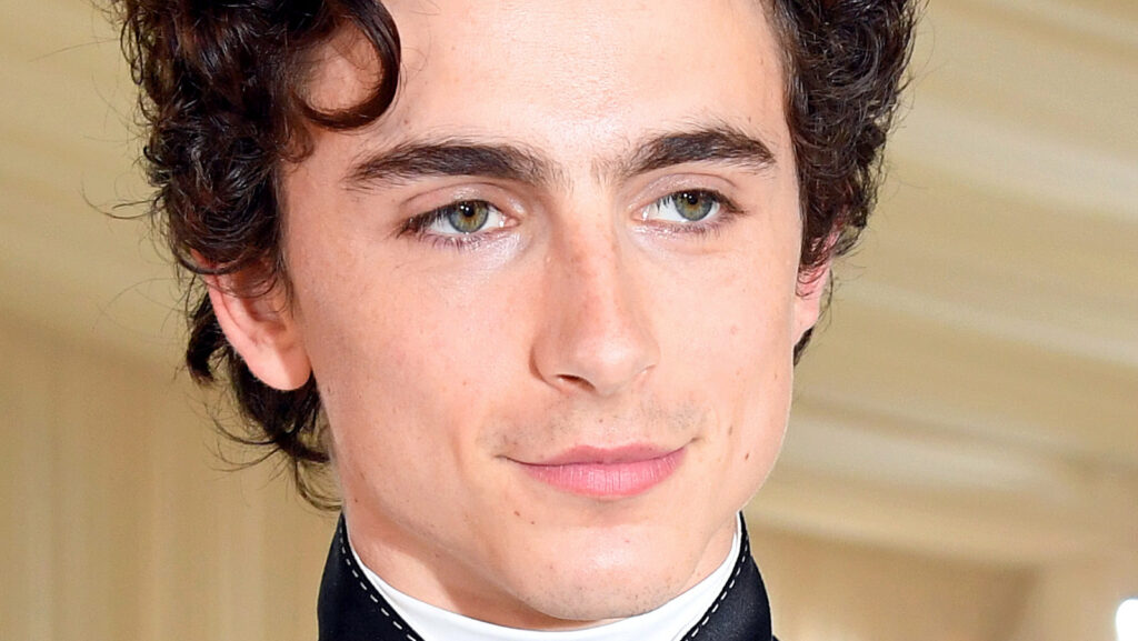 Timothee Chalamet's Height Revealed: How Tall Is He Really? - Heights ...